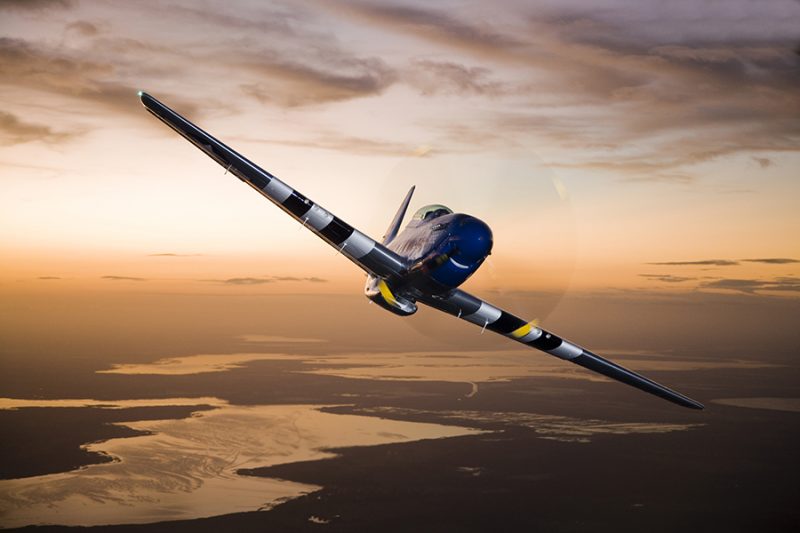 Photo Gallery - Stallion 51