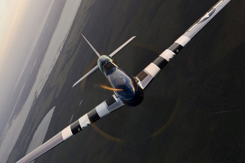 Photo Gallery - Stallion 51