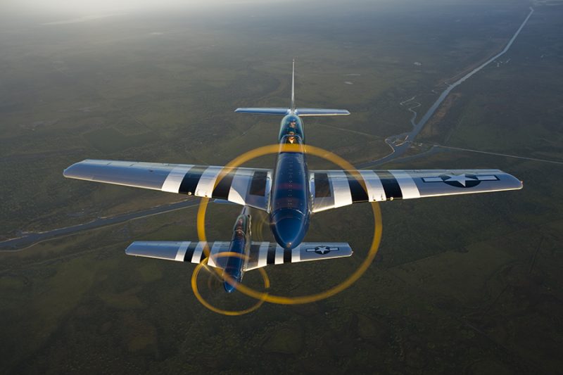 Photo Gallery - Stallion 51