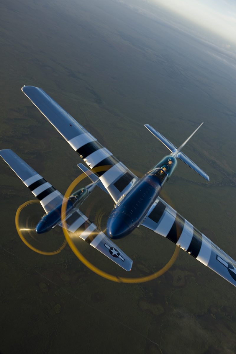 Photo Gallery - Stallion 51