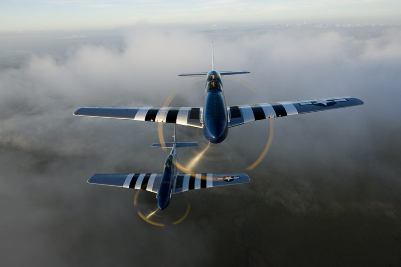 Photo Gallery - Stallion 51