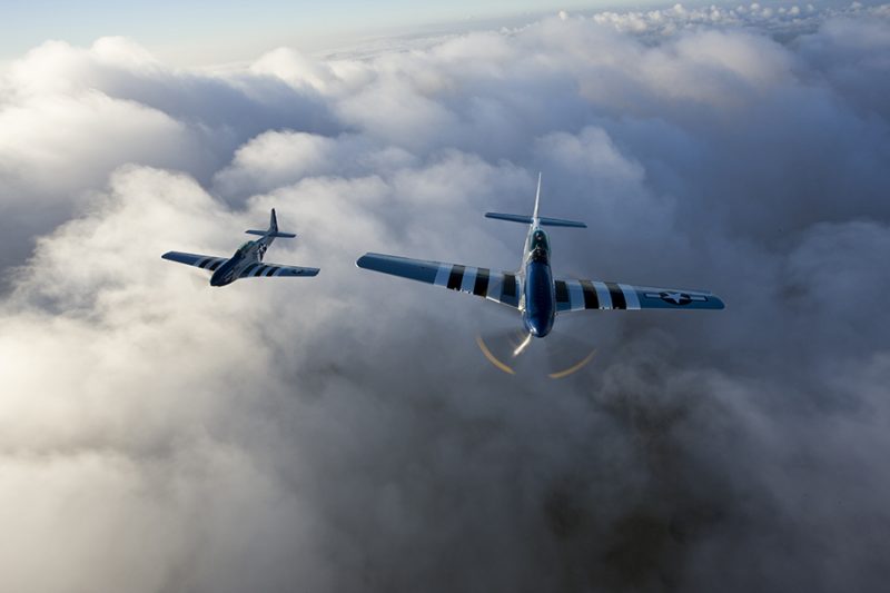 Photo Gallery - Stallion 51